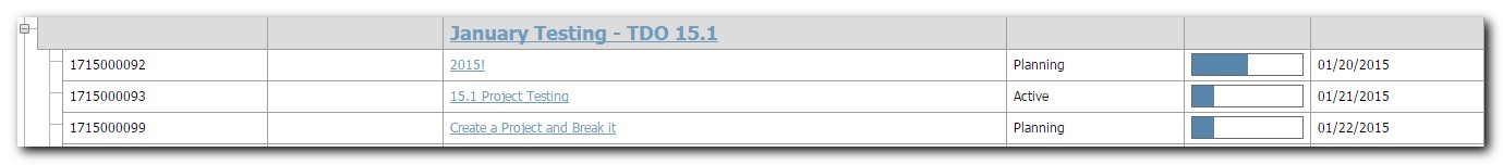 Project Progress Bar